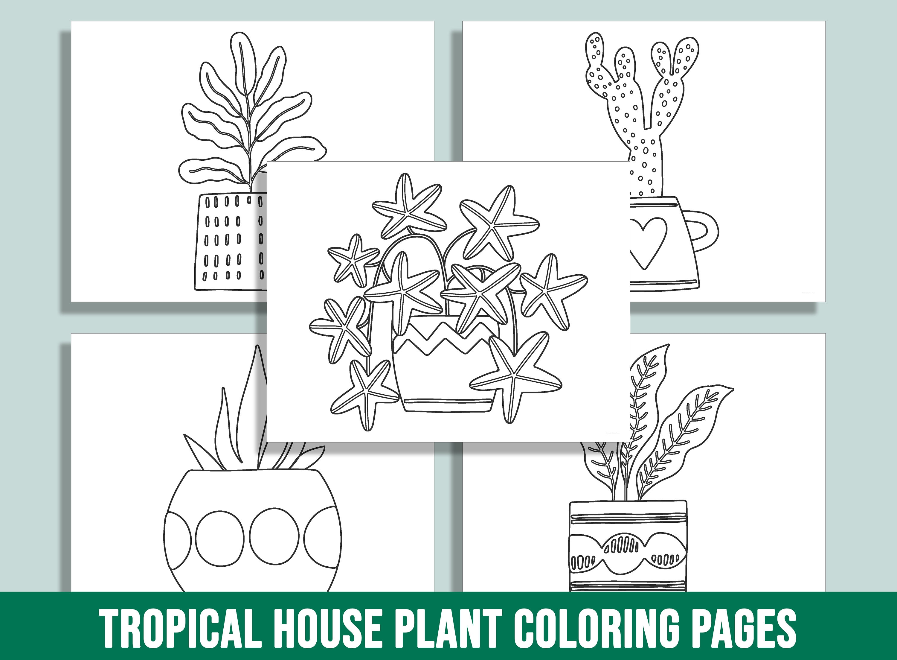 Tropical House Plant Coloring Pages: 30 Botanical Coloring Book Designs ...