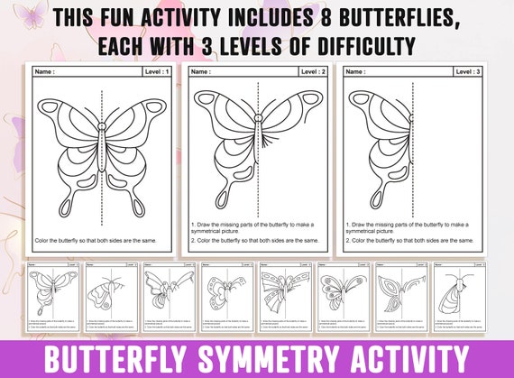 Butterfly Symmetry Worksheet Butterfly Theme Lines of - Etsy