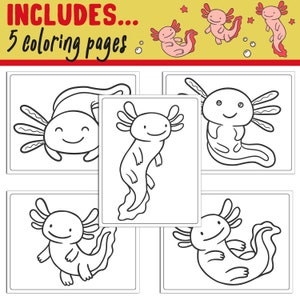 Learn How to Draw an Axolotl: Directed Drawing Step by Step Tutorial ...