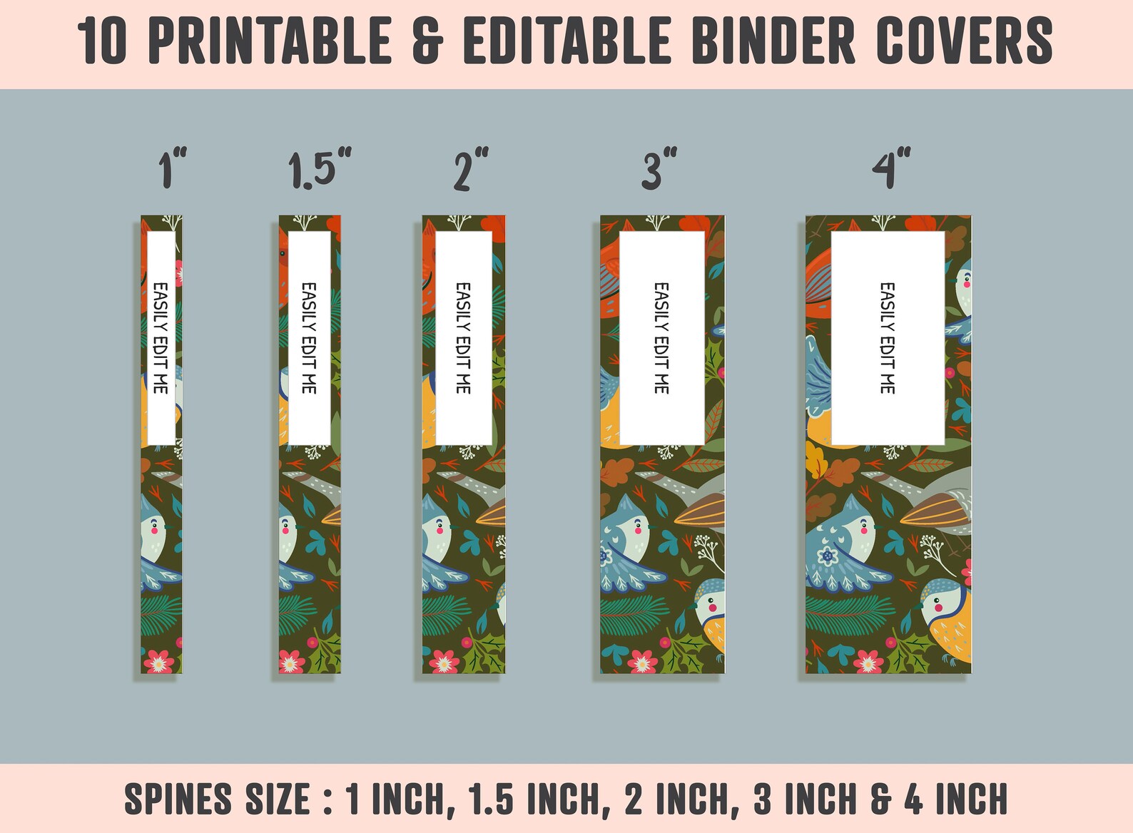 Various Birds Binder Cover 10 Printable/editable Binder - Etsy