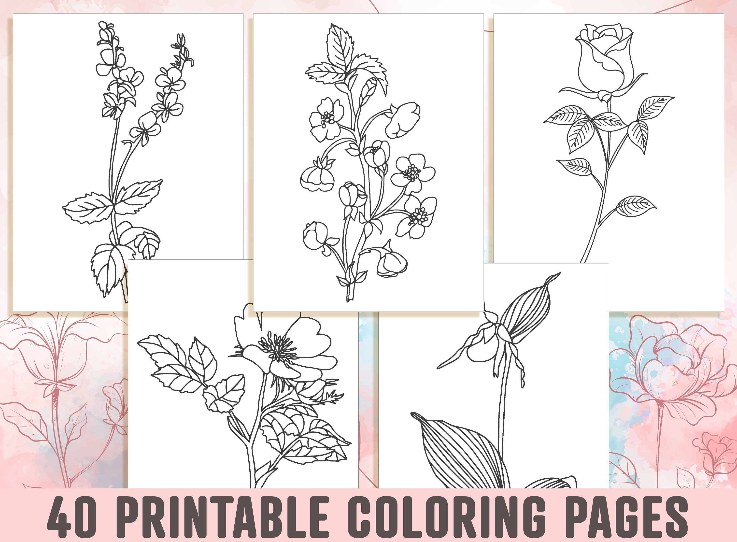 Floral Coloring Pages 40 Beautiful Floral and Flower | Etsy