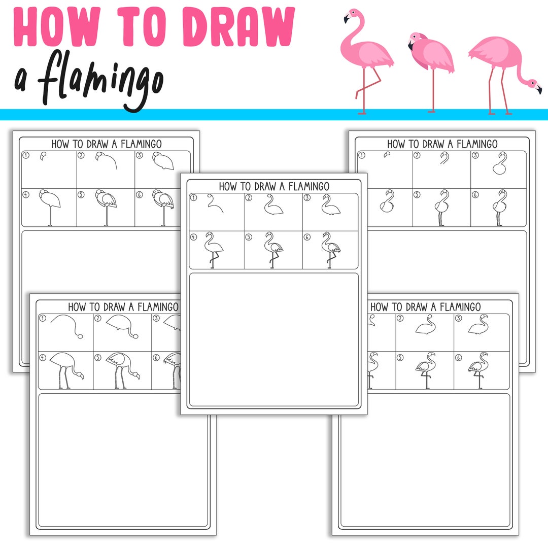 How to Draw a Cute Flamingo, Directed Drawing Step by Step Tutorial ...