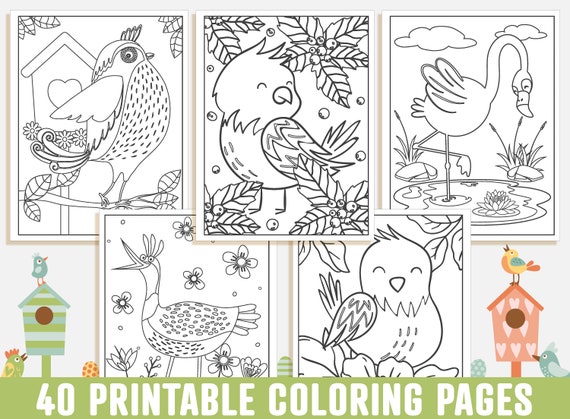 Kids Coloring Pages Birds