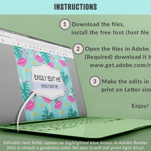 Binder Cover Flamingo, 10 Printable & Editable Binder Covers+spines ...