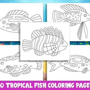 Tropical Fish Coloring Pages: 20 Fun and Educational Activity Sheets ...