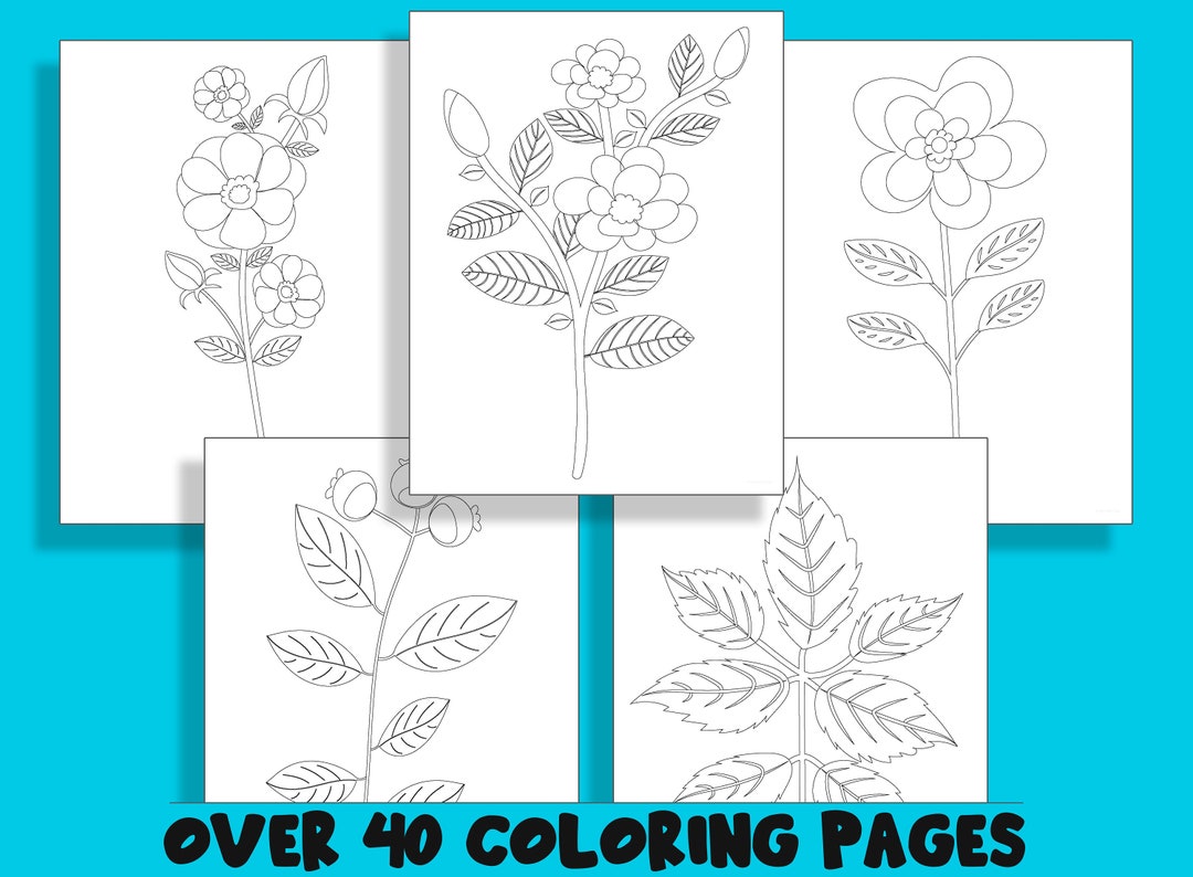 Flowers Leaves Coloring Book, 40 Printable Coloring Pages for Kids a ...
