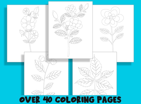 Free Coloring Pages Of Spring Leaves