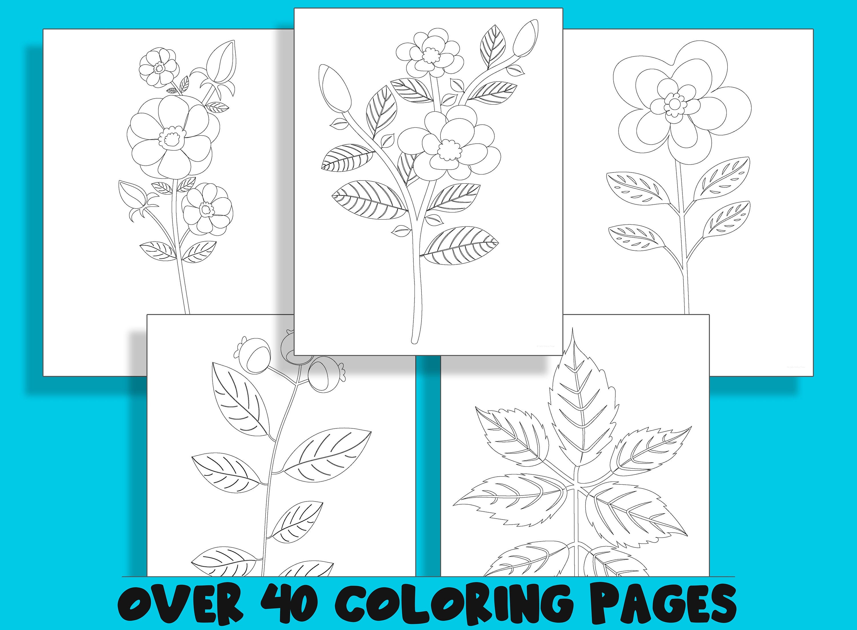 Flowers Leaves Coloring Book, 40 Printable Coloring Pages for Kids a ...