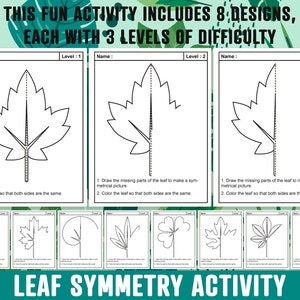 Leaf Symmetry Worksheet, Leaves Theme Lines of Symmetry Activity, 24 ...
