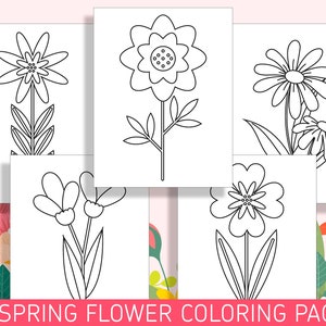 Spring Into Color: 25 Flower Coloring Sheets for Preschool and ...