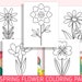 Spring Into Color: 25 Flower Coloring Sheets for Preschool and ...