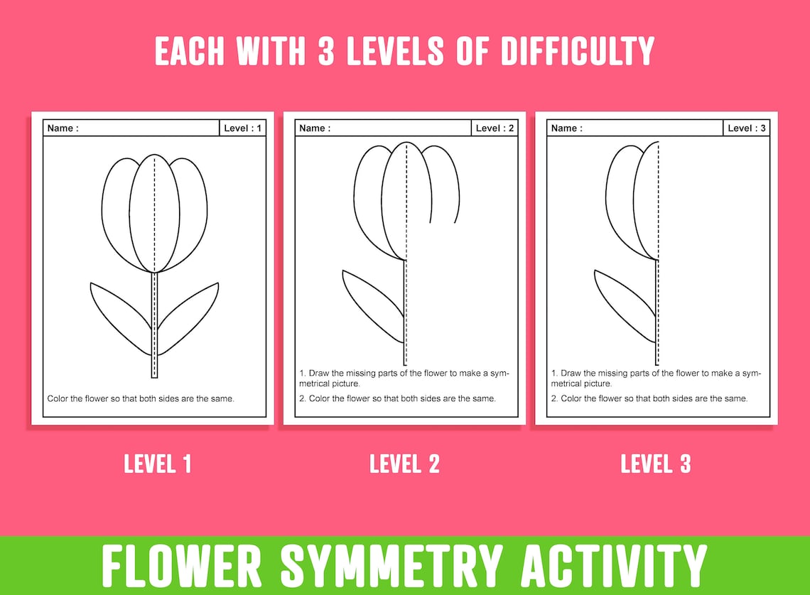 Flower Line of Symmetry, Spring/summer Flower Symmetry Activity, 24 ...