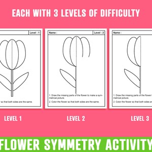 Flower Line of Symmetry, Spring/summer Flower Symmetry Activity, 24 ...