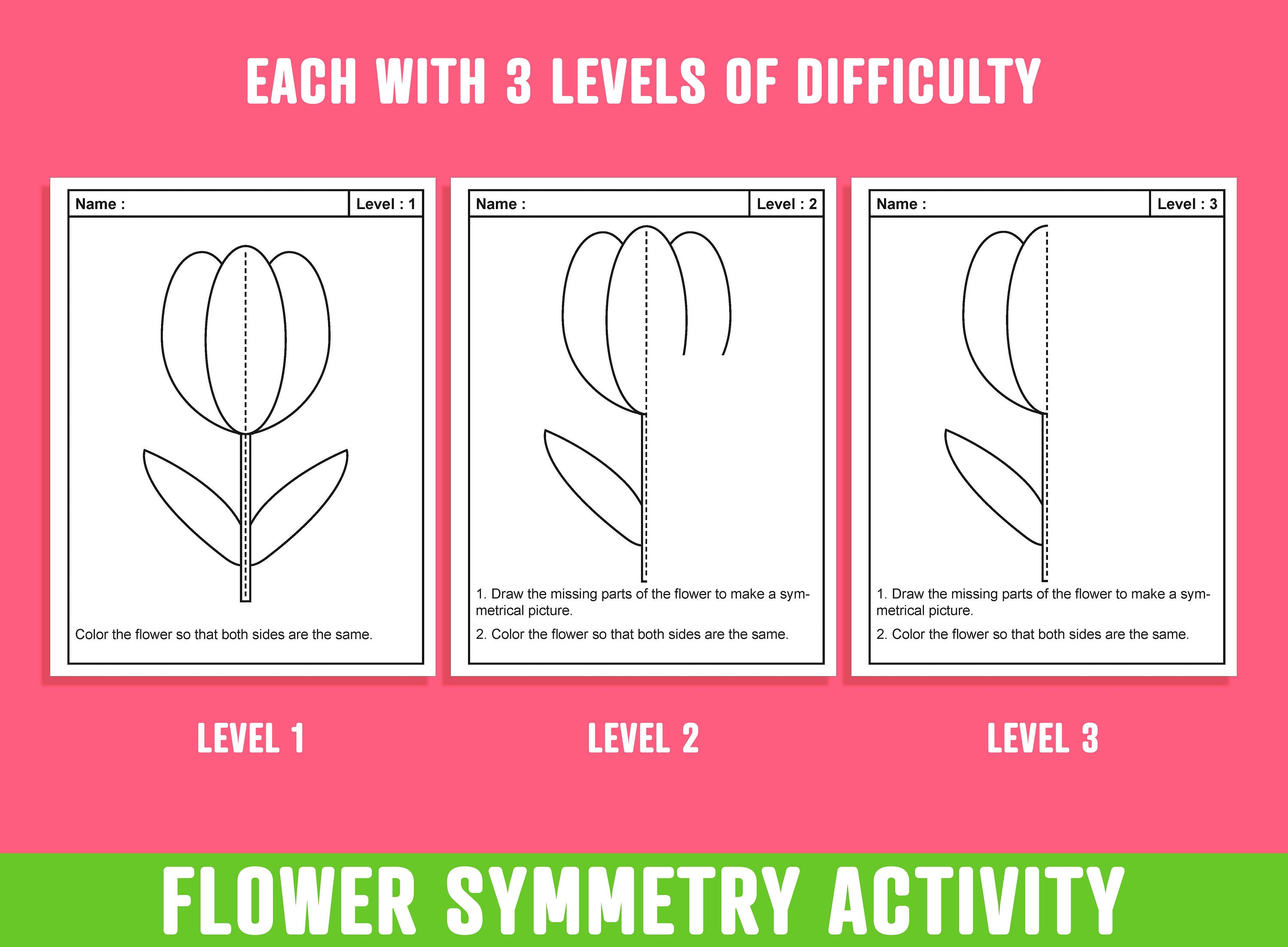 Flower Line of Symmetry, Spring/summer Flower Symmetry Activity, 24 ...