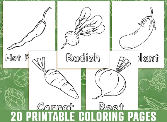 Coloring Pages Vegetables Preschoolers Books
