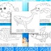 Fish Coloring Pages, 25 Colorful Pages of Underwater Friends to Color ...