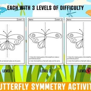 Butterfly Symmetry Art, Spring/summer Butterfly Theme Lines of Symmetry ...