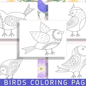 Cute Bird Coloring Pages: 25 Charming Designs for Kids and Adults, Fun ...