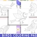 Cute Bird Coloring Pages: 25 Charming Designs for Kids and Adults, Fun ...