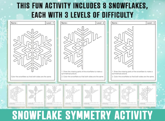 Snowflake Symmetry Worksheet Snowflake Theme Lines of | Etsy