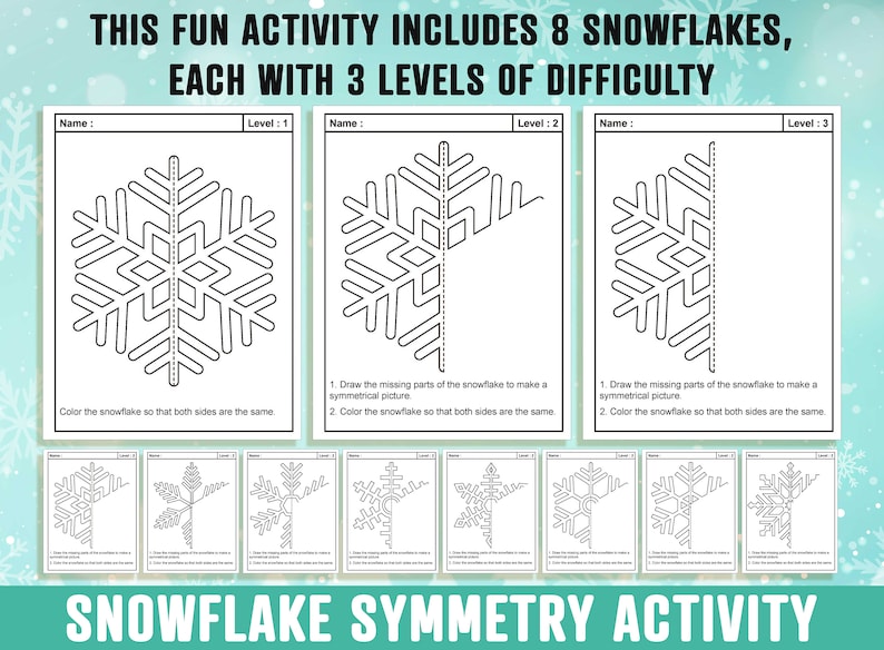 Snowflake Symmetry Worksheet, Snowflake Theme Lines of Symmetry ...