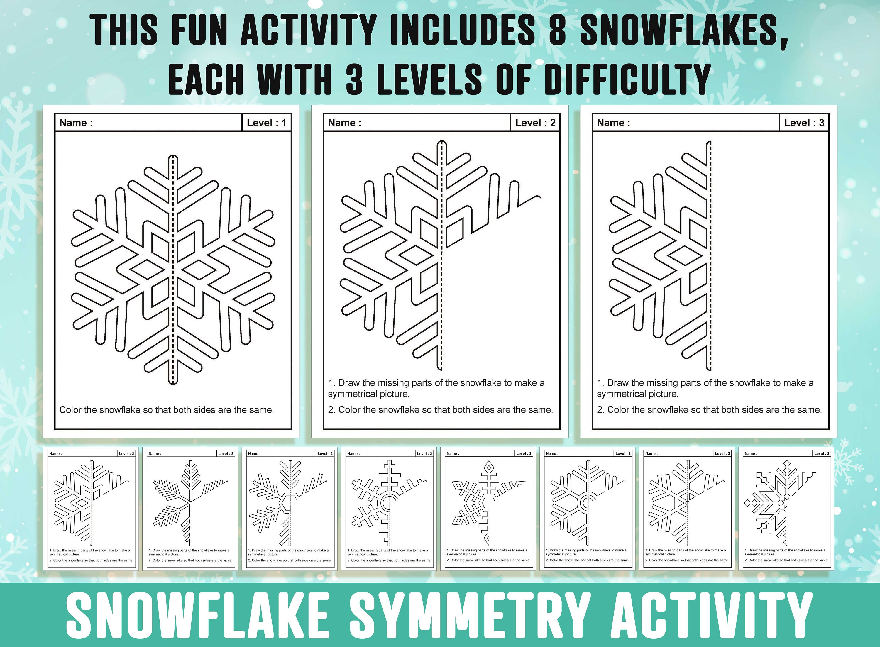 Snowflake Symmetry Worksheet, Snowflake Theme Lines of Symmetry ...
