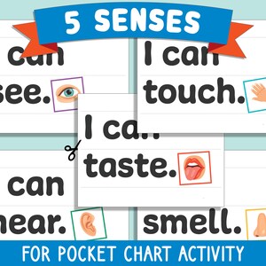 Five Senses Sorting Set for Preschool, Pre-k, and Kindergarten ...