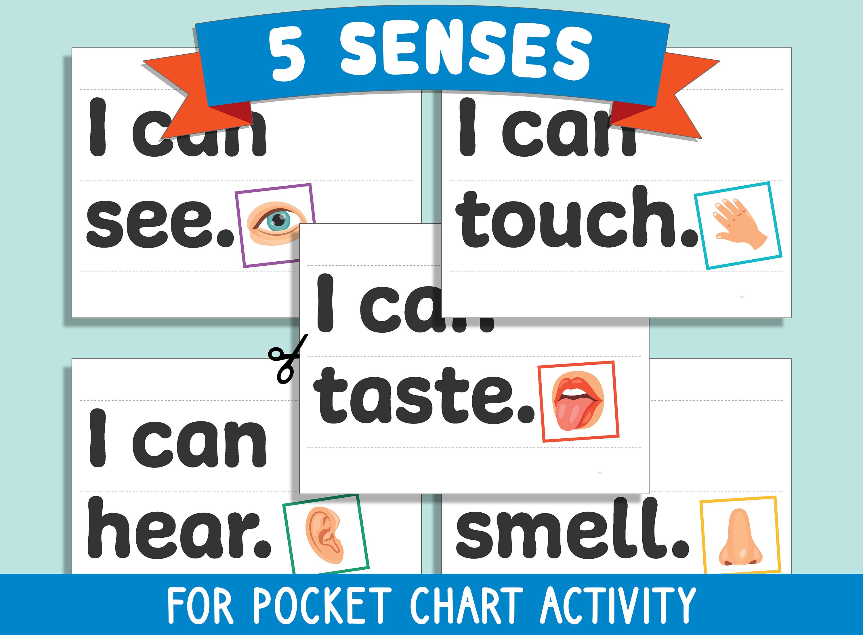 Five Senses Sorting Set for Preschool, Pre-k, and Kindergarten ...