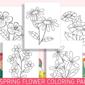 Spring Into Color: 25 Flower Coloring Sheets for Preschool and ...