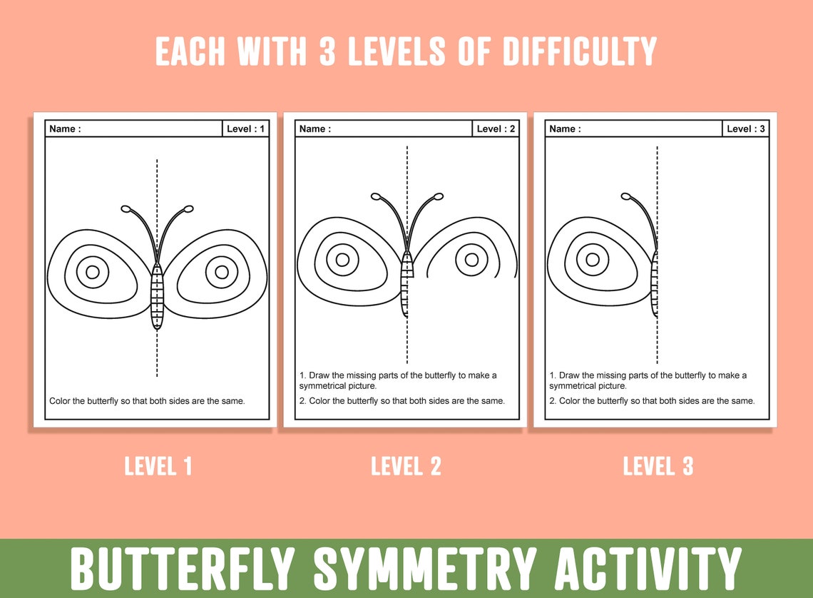Butterfly Symmetry Activity, Butterflies Line of Symmetry Activity, 24 ...