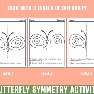 Butterfly Symmetry Activity, Butterflies Line of Symmetry Activity, 24 ...
