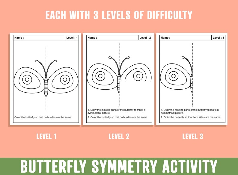 Butterfly Symmetry Activity, Butterflies Line of Symmetry Activity, 24 ...