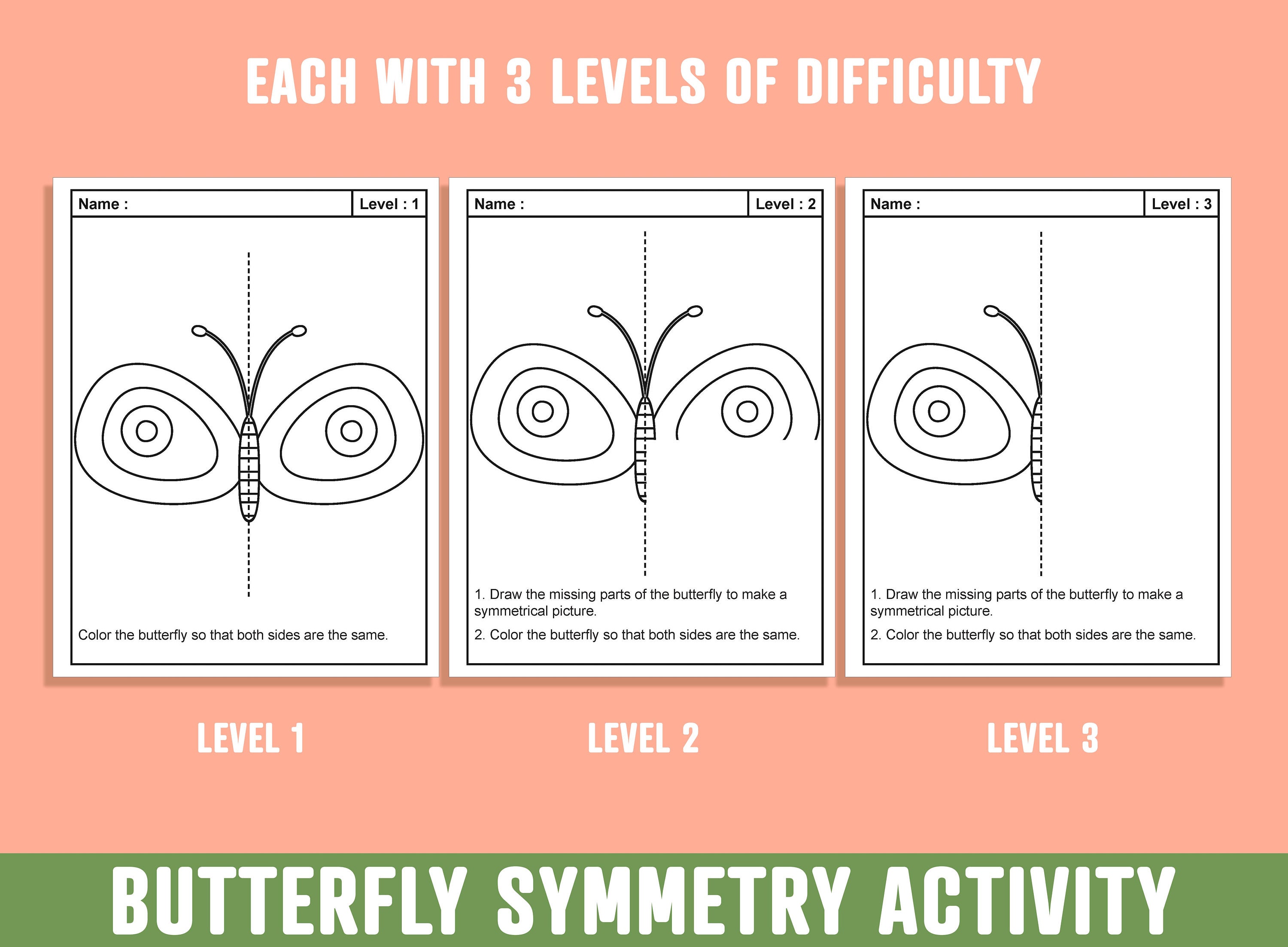Butterfly Symmetry Activity, Butterflies Line of Symmetry Activity, 24 ...