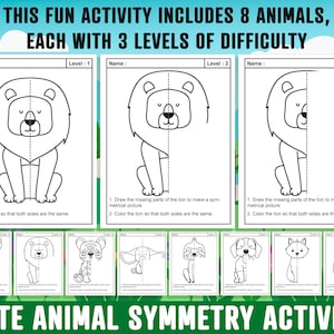 Cute Animal Symmetry Worksheet, Cute Animal Theme Lines of Symmetry ...