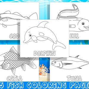 Fish Coloring Pages, 25 Colorful Pages of Underwater Friends to Color ...