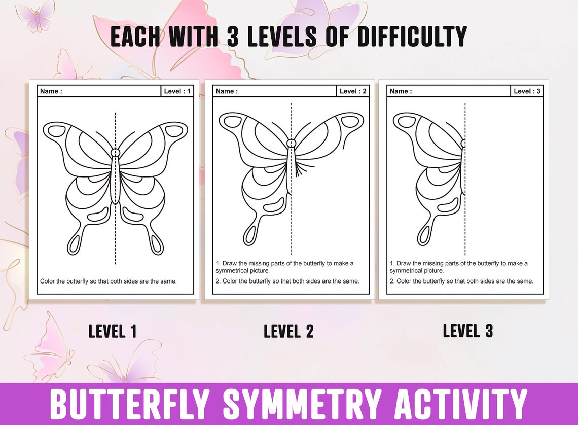 Butterfly Symmetry Worksheet Butterfly Theme Lines of - Etsy