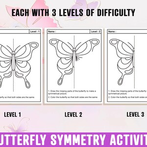 Butterfly Symmetry Worksheet, Butterfly Theme Lines of Symmetry ...