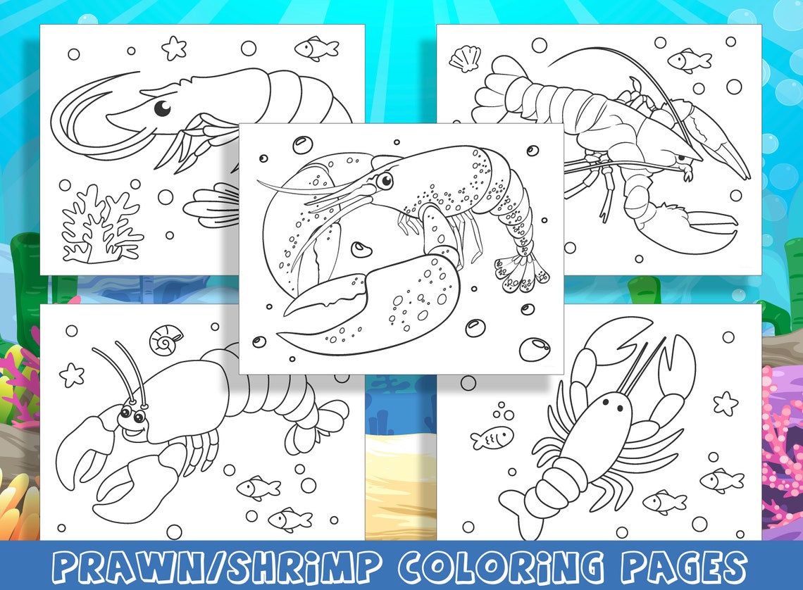 Ocean Delights: Prawn and Shrimp Coloring Adventures 15 - Etsy