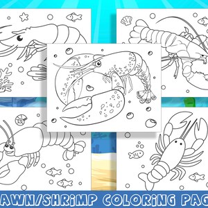 Ocean Delights: Prawn and Shrimp Coloring Adventures 15 Pages of Fun ...