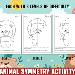 Animal Symmetry Worksheet, Animal Theme Lines of Symmetry Activity, 24 ...