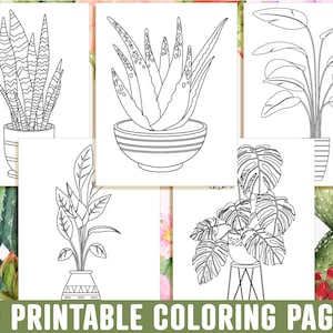 20 Adorable Houseplant Coloring Pages: Delightful Succulents, Cactus ...