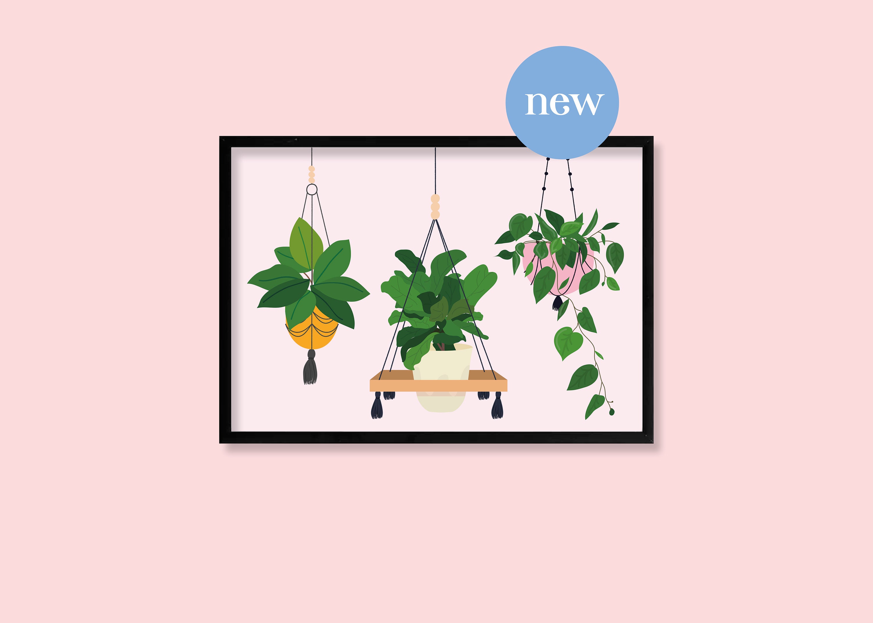 Botanical Hanging Plants Art Print Unframed A5 A4 Art | Etsy