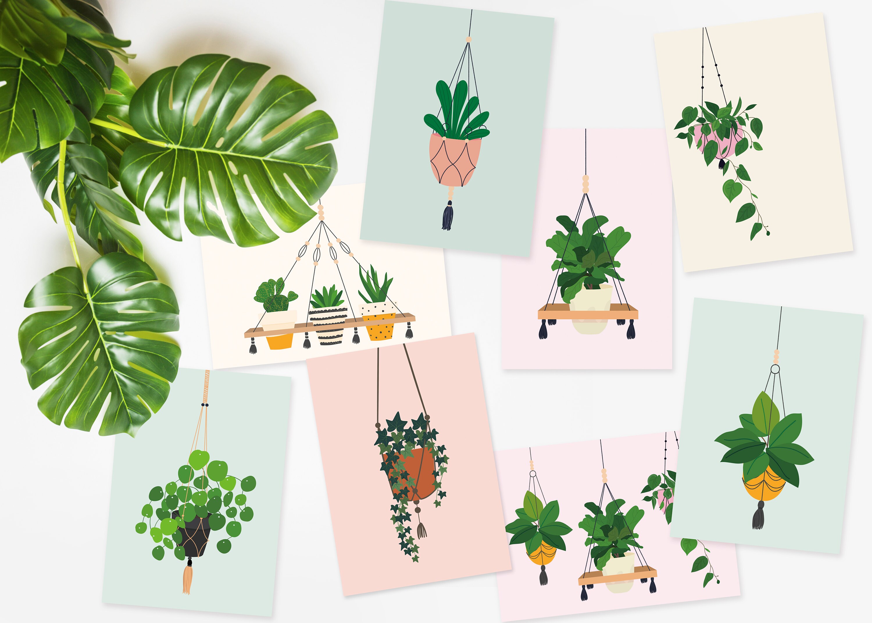Set of 8 Botanical Hanging Plants Art Prints Unframed A6 Art | Etsy