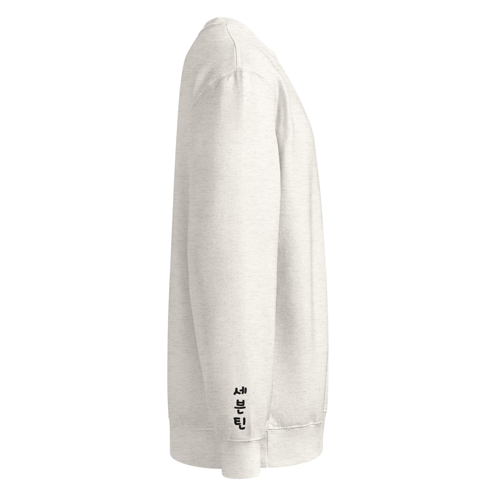 Seventeen Sweater, Subtle Kpop Clothing, Unisex Seventeen Fashion, Say ...