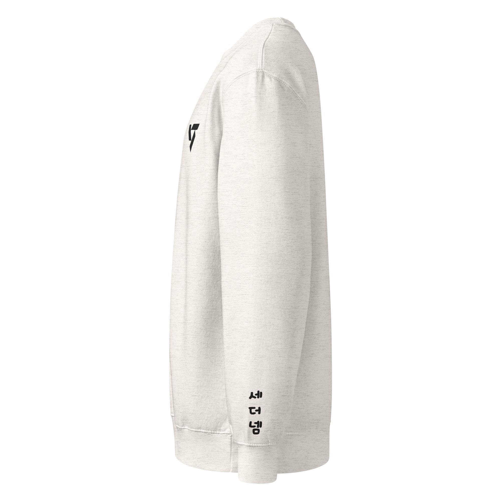 Seventeen Sweater, Subtle Kpop Clothing, Unisex Seventeen Fashion, Say ...