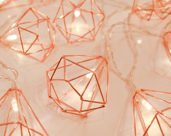 Rose String Lights - Etsy