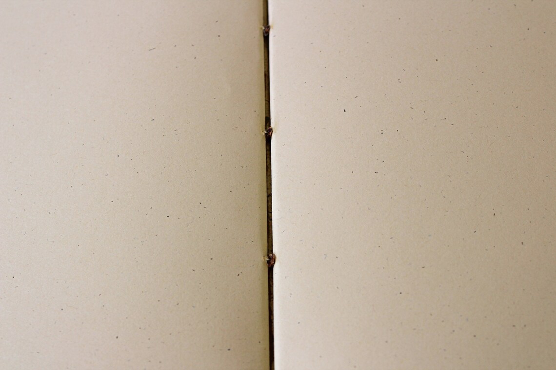 Green Leaf Journal. Notebook Journal. Diary Journal. Eco - Etsy