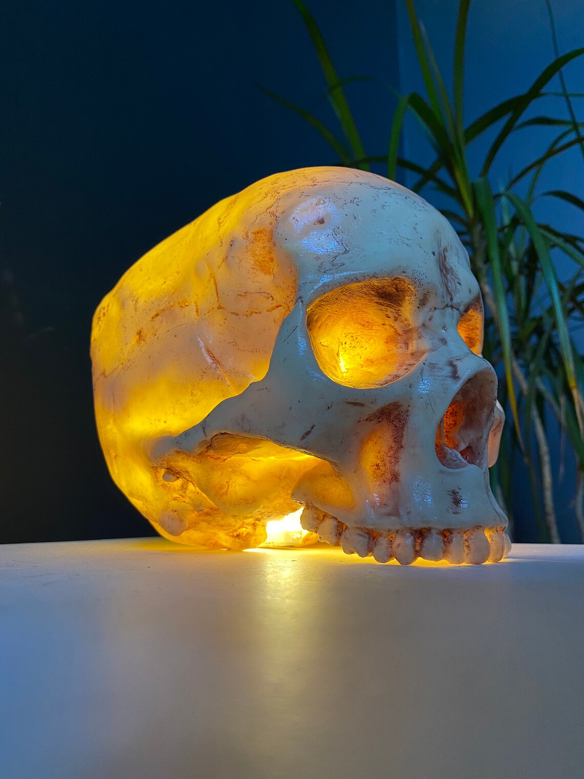 Skull Night Light Table Lamp Human Anatomical Skull Light - Etsy