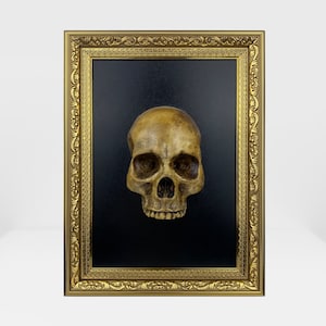 Filigree Frame Skull Gallery Wall Art, Gold Framed Skull, 3D Realistic ...