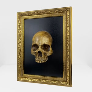 Filigree Frame Skull Gallery Wall Art, Gold Framed Skull, 3D Realistic ...